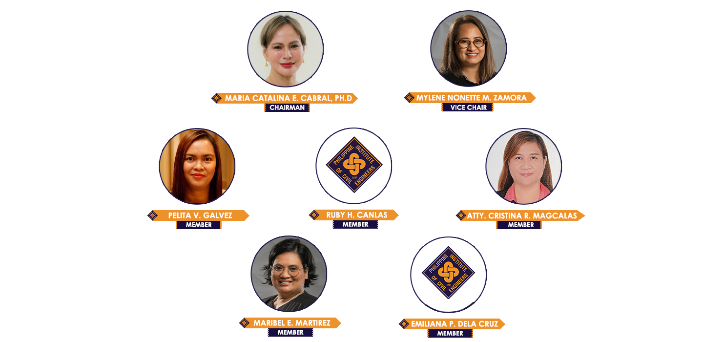 WOMEN ENGINEERS NETWORK COMMITTEE – PICE WEBSITE